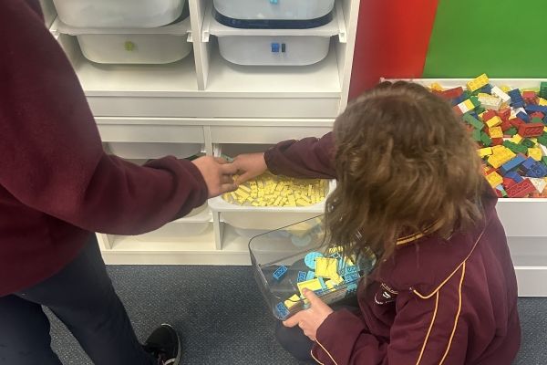 Braeside Primary School